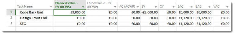 Understanding the Earned Value Table in MS Project
