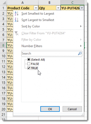 Perform a Case Sensitive Filter in Excel